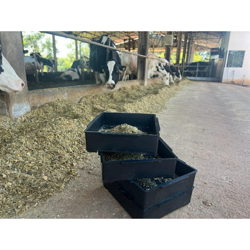 Abrir mídia 8 na janela modal