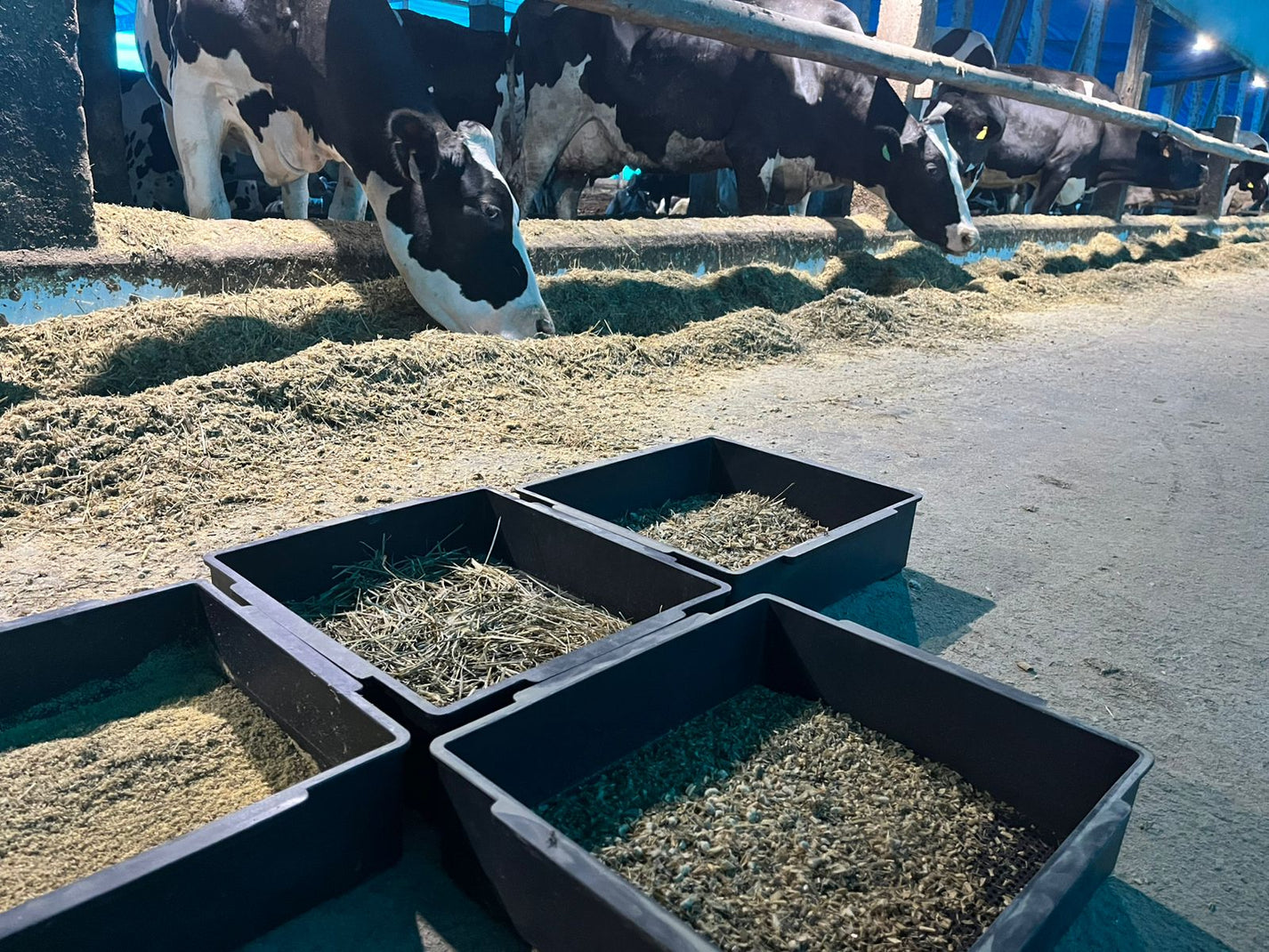 Abrir mídia 7 na janela modal