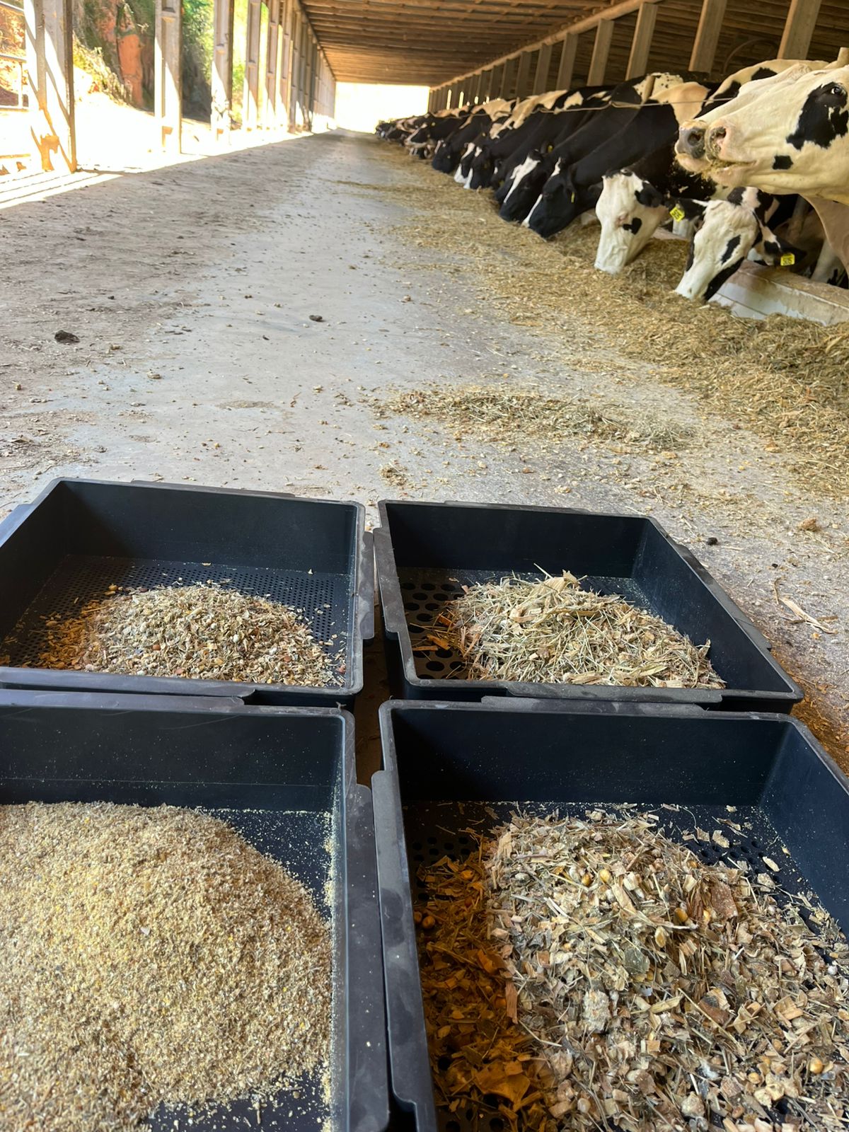 Abrir mídia 9 na janela modal